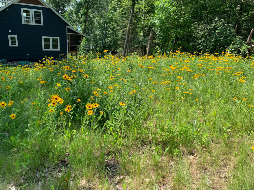 Septic Mound Kit - MNL: Heal the Earth