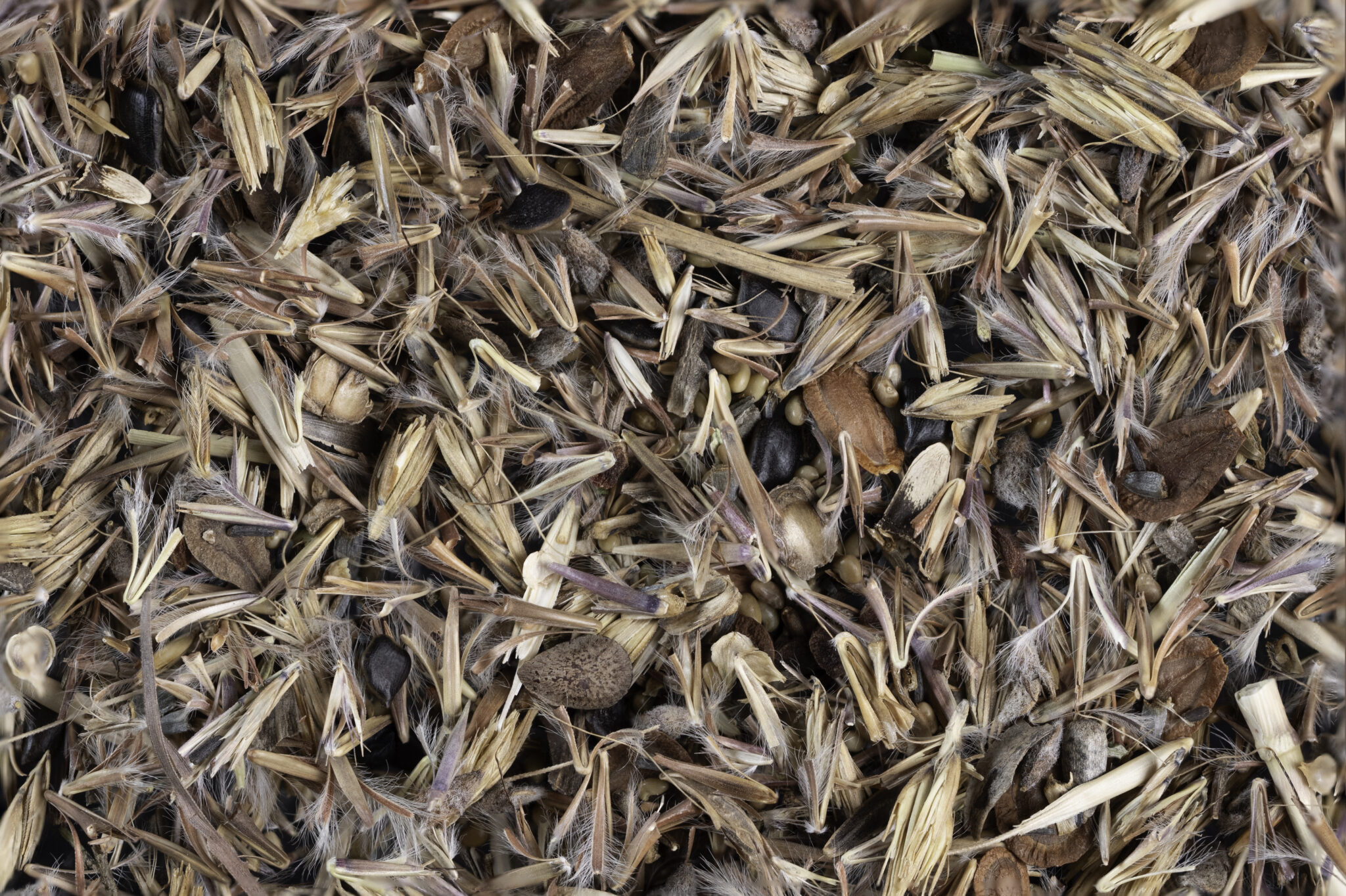 MNL Upland Dry Prairie Mix