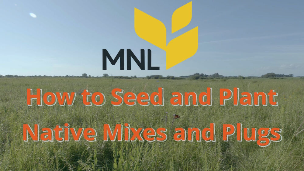 Project Planning – How-to Seed and Plant your project
