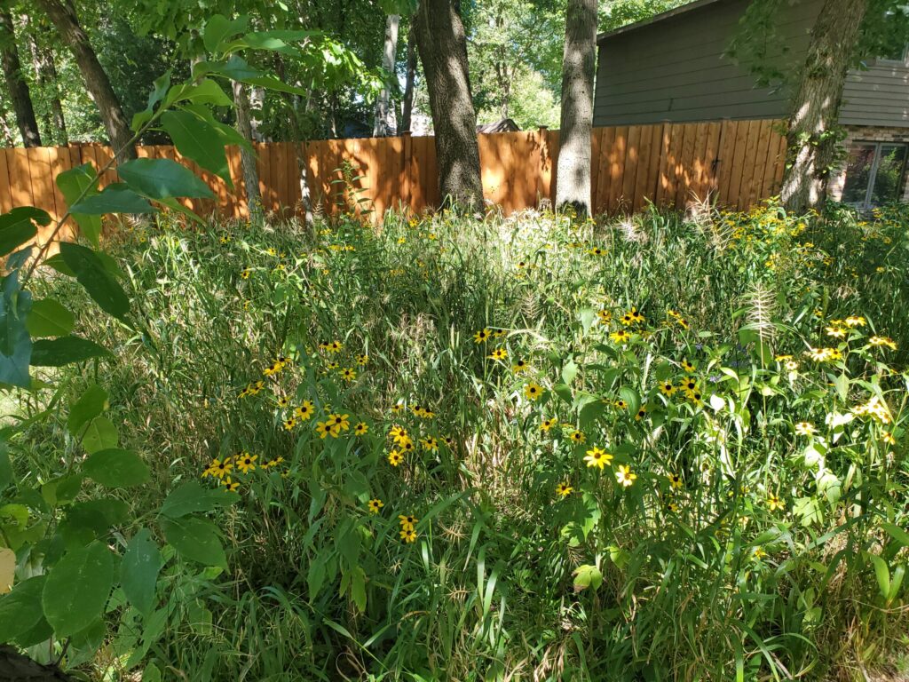 MNL Woodland Mix