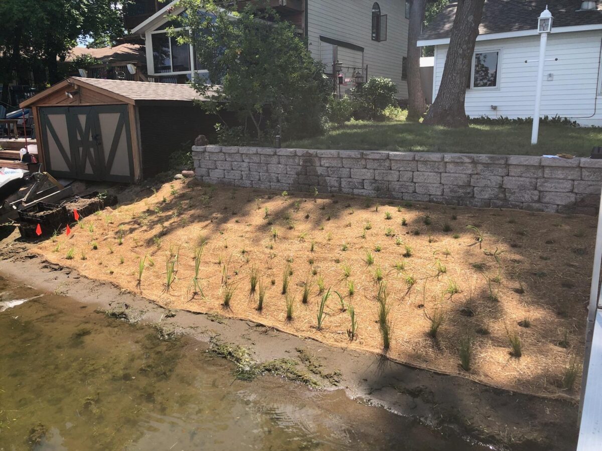Erosion Control Blanket