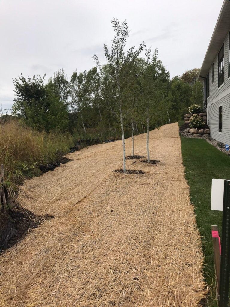 Erosion Control Blanket