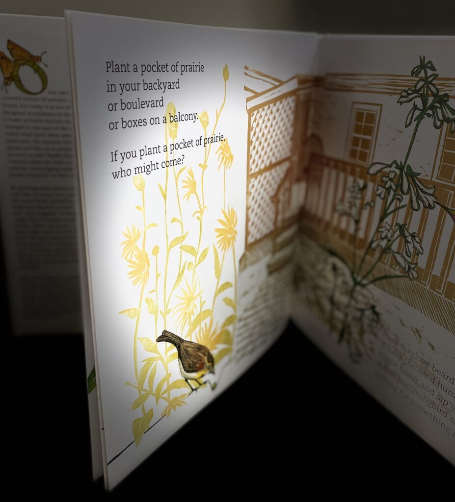 Plant a Pocket of Prairie Book