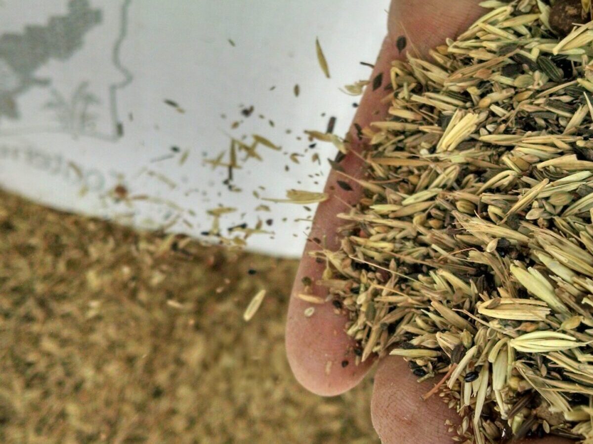 Signature Seed Mixes