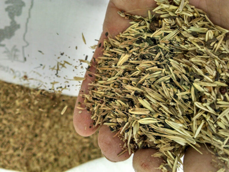 MNL | Wholesale Seed Mixes and Plants