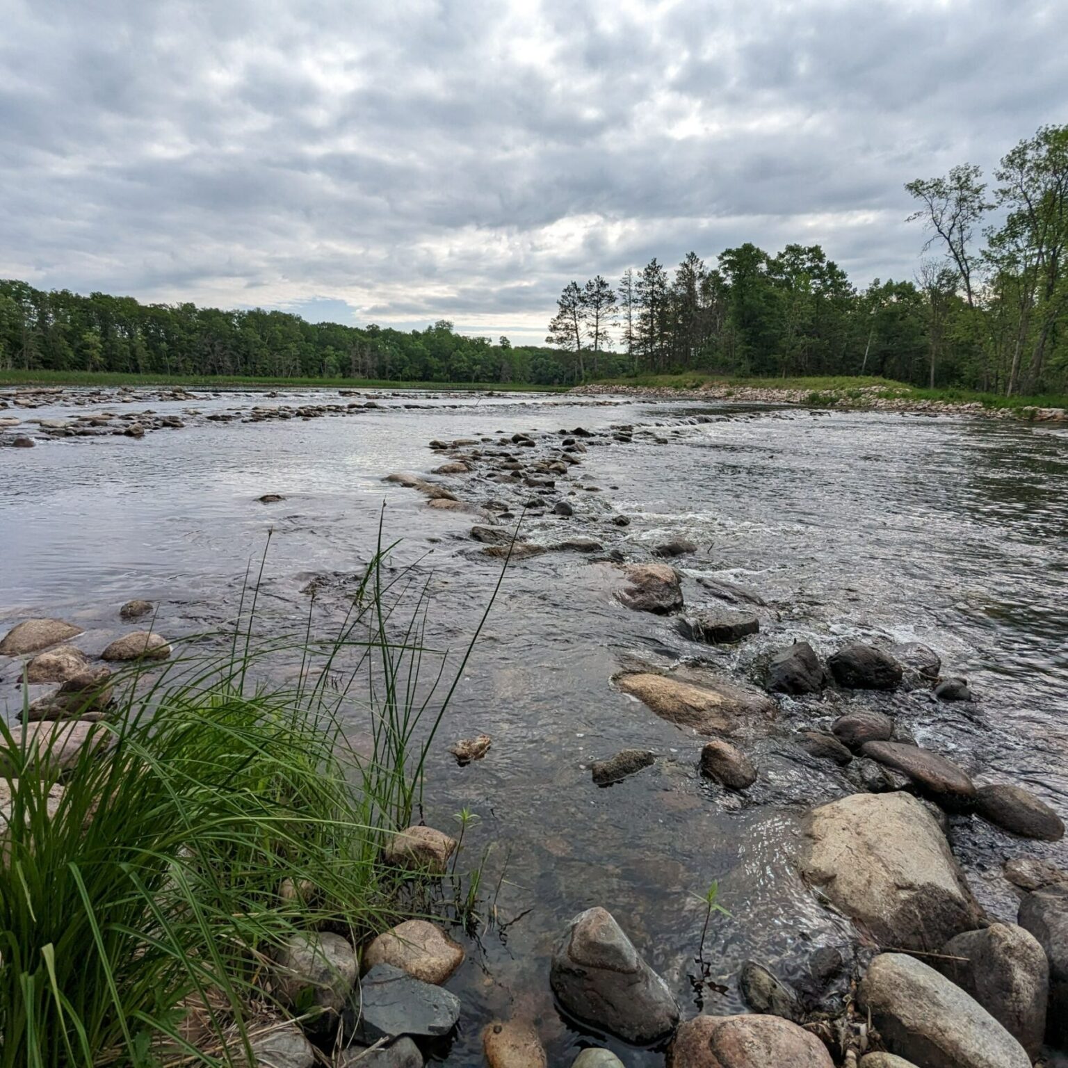 Pine River Fish Passage