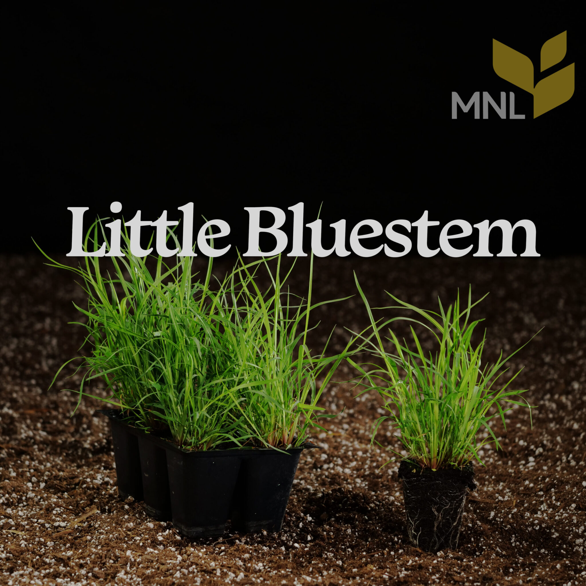 Pocket Planting Pollinator Garden Bundle