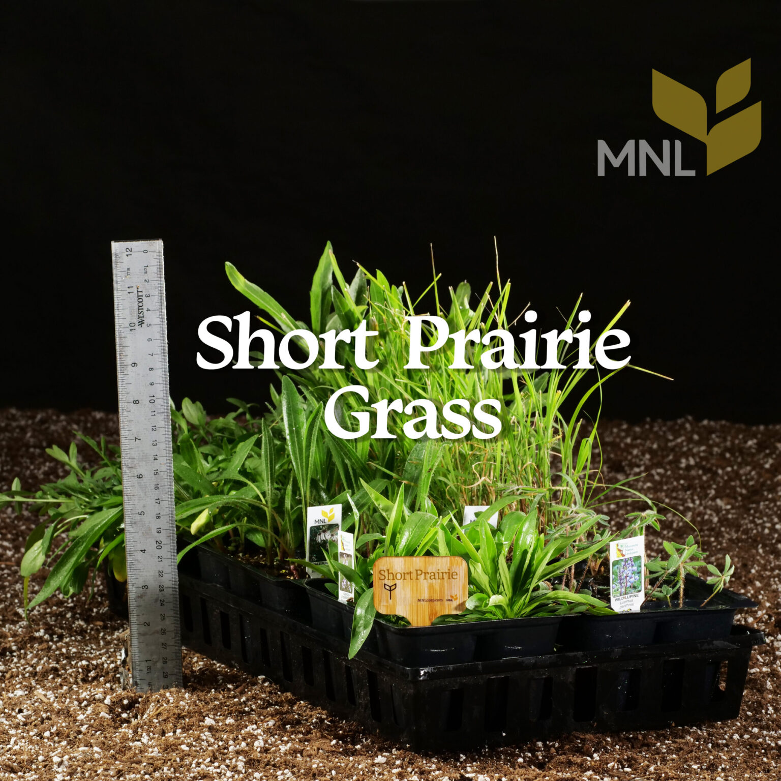 Signature Plant Kits