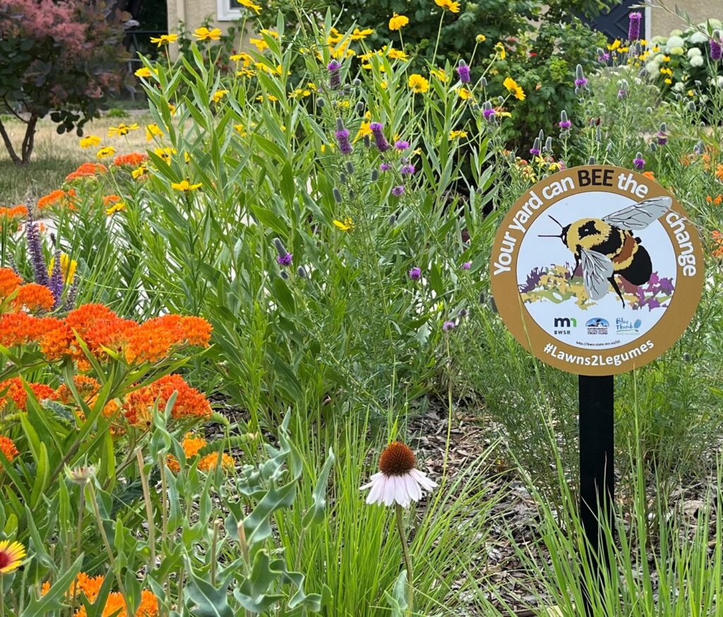 Pocket Planting Pollinator Garden Bundle
