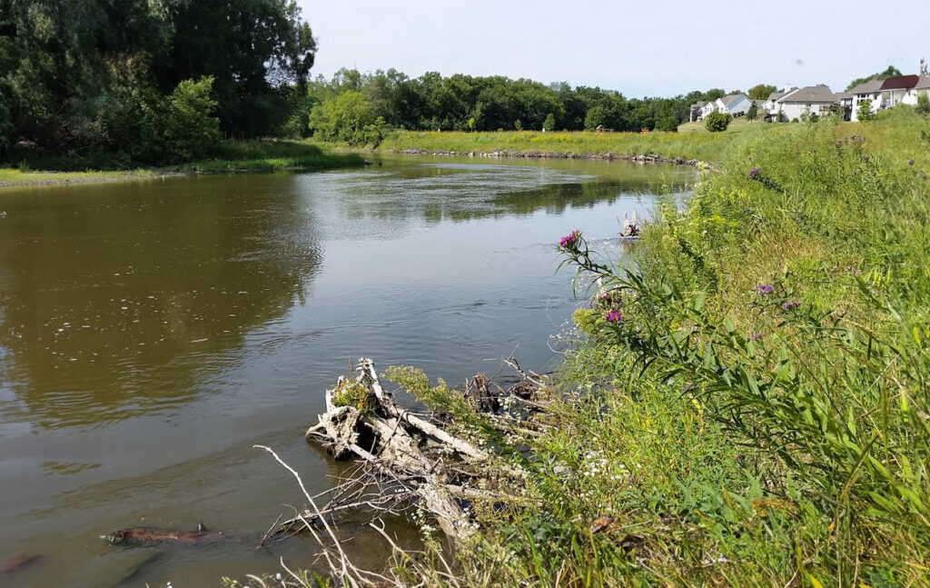 Crow River Bank Stabilization Project