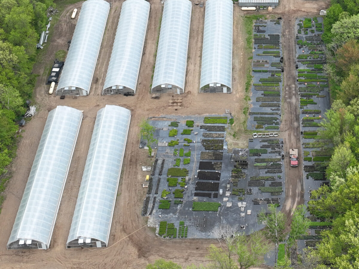 MNL | Ecological Restoration and Minnesota Native Landscaping