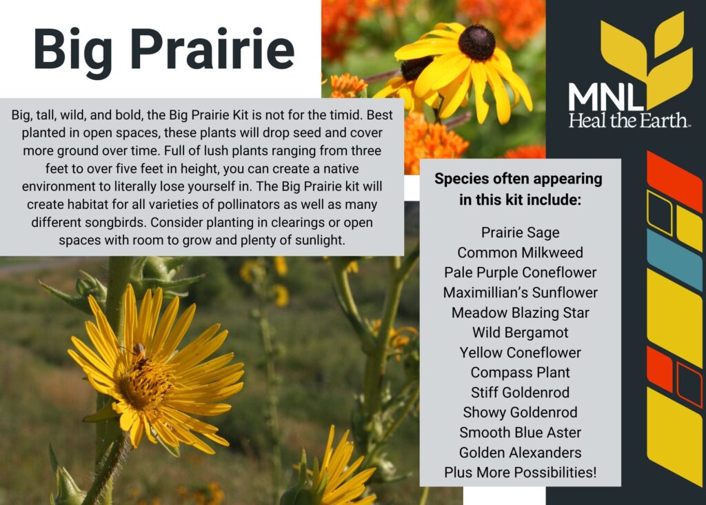 Big Prairie Kit – Native Wildflower Garden for Pollinators and Songbirds