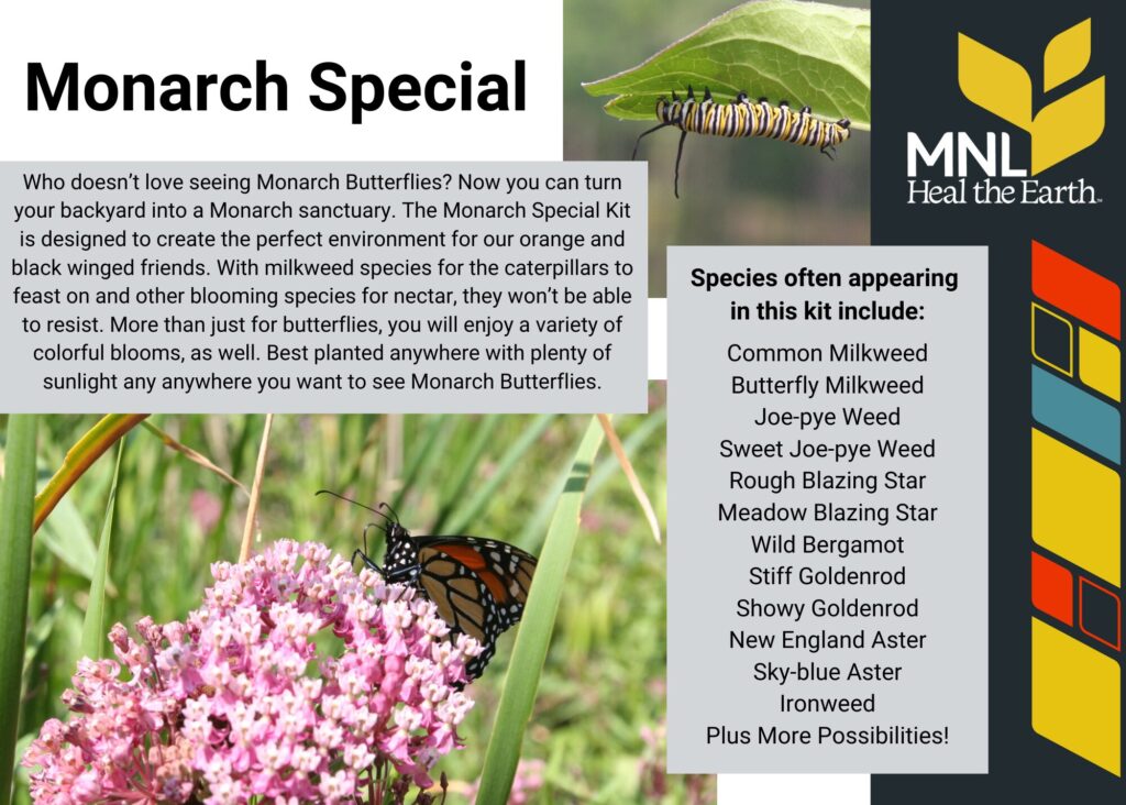 Monarch Special Kit – Native Milkweed and Wildflowers to Attract ...