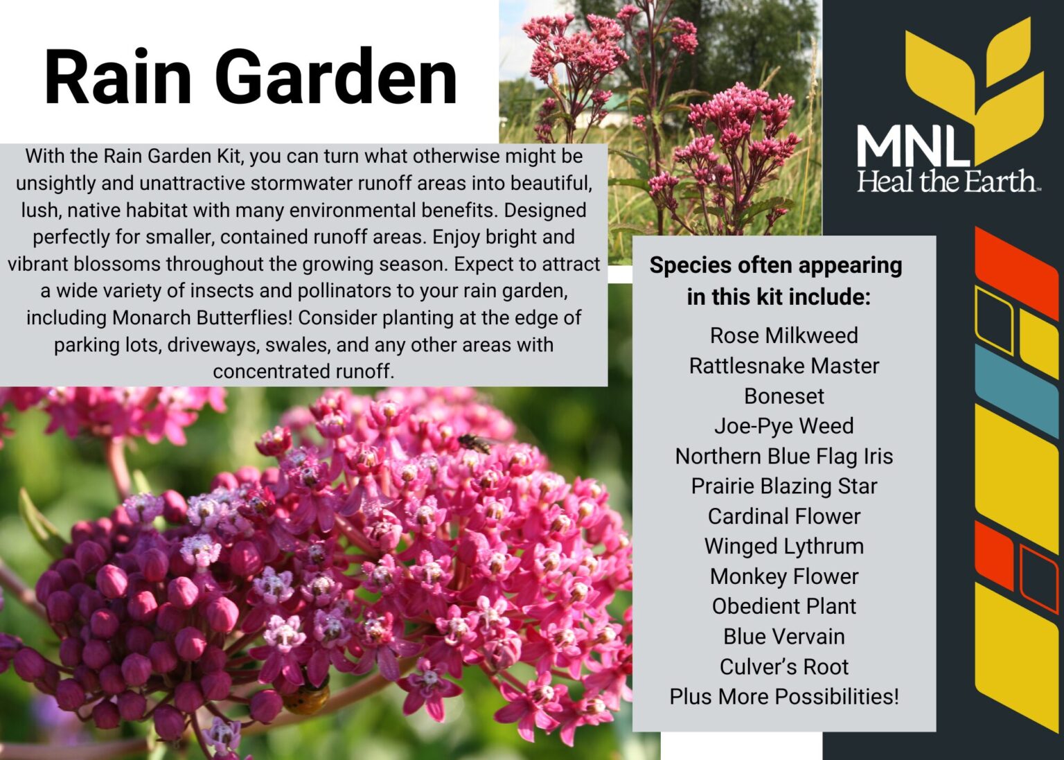 Rain Garden Kit – Native Plants for Stormwater Management and ...