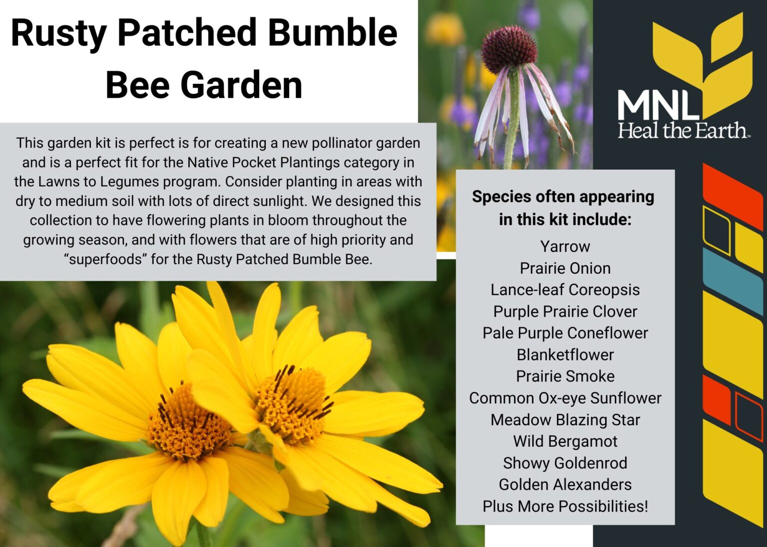 Rusty Patched Bumble Bee Garden – Full Sun Pollinator Kit with Native ...
