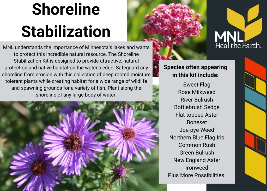 Shoreline Stabilization Kit – Native Plants for Shoreline Erosion ...