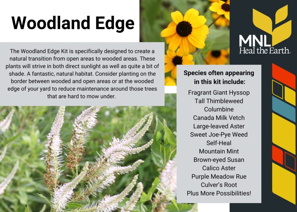 Woodland Edge Kit – Native Plants for Shaded Borders and Wildlife Habitat